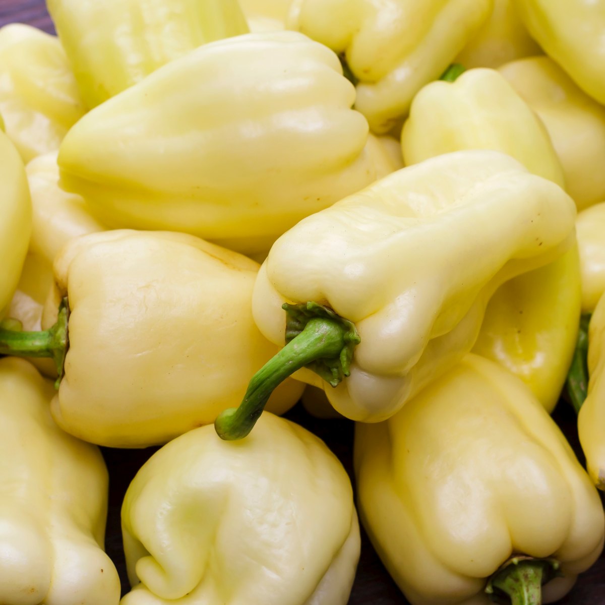 Chili 'Habanero' Hvid - flot hvid lanterneformet habanero. Frø her ...